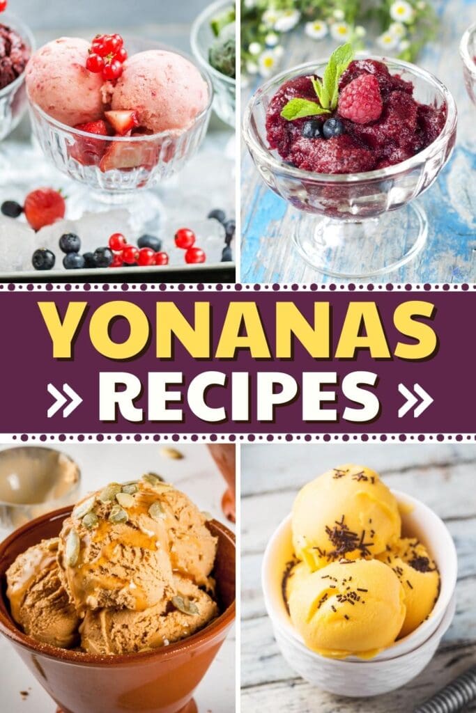 23 Easy Yonanas Recipes To Go Bananas For - Insanely Good
