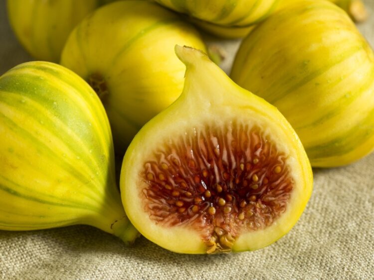 13 Different Types of Figs to Explore From Sweet to Tender - Insanely Good