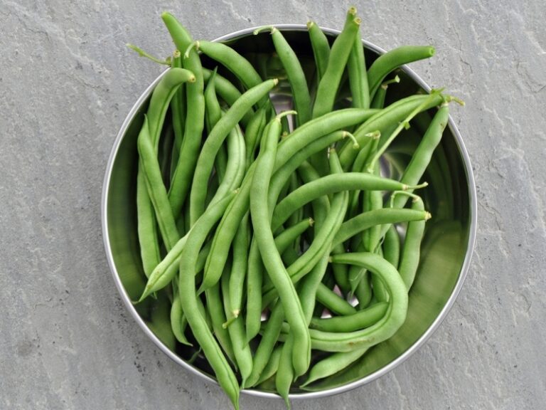 10 Different Types of Green Beans (Most Common Varieties) - Insanely Good