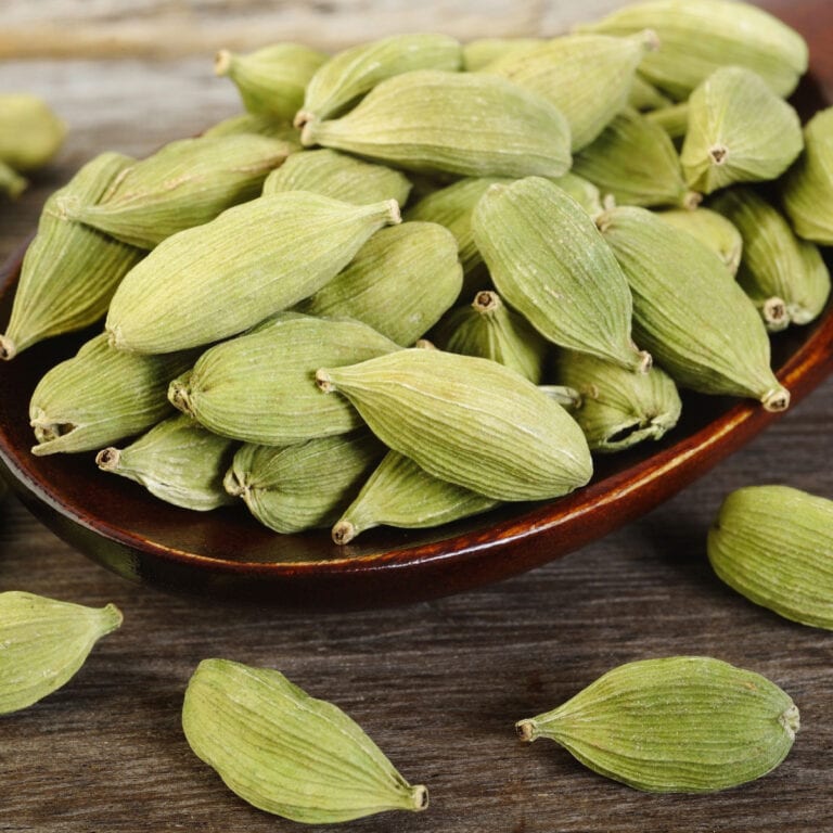 What Is Cardamom? (+ How to Use It) - Insanely Good