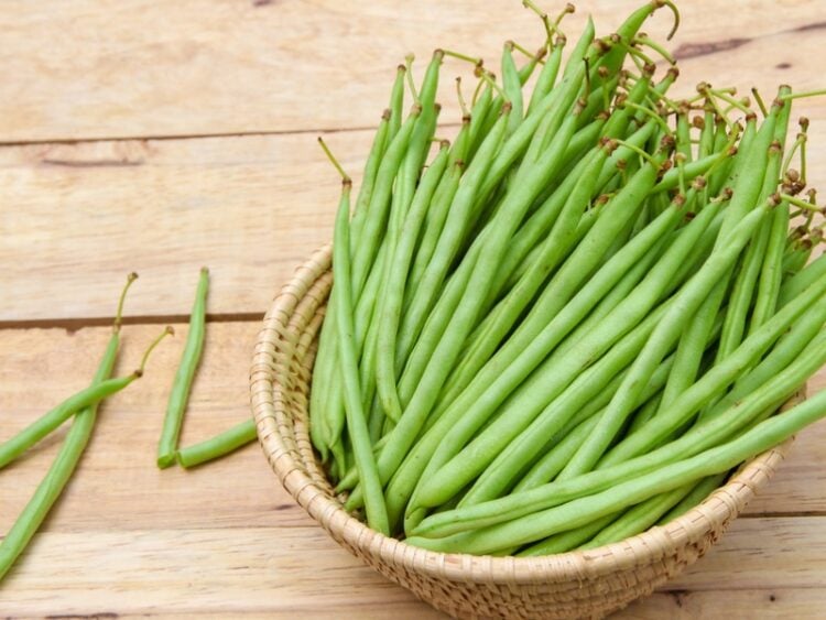 10 Different Types of Green Beans (Most Common Varieties) - Insanely Good