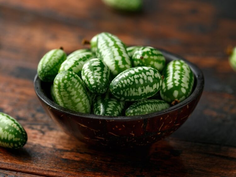 25 Types of Melon to Try (Common and Rare) - Insanely Good