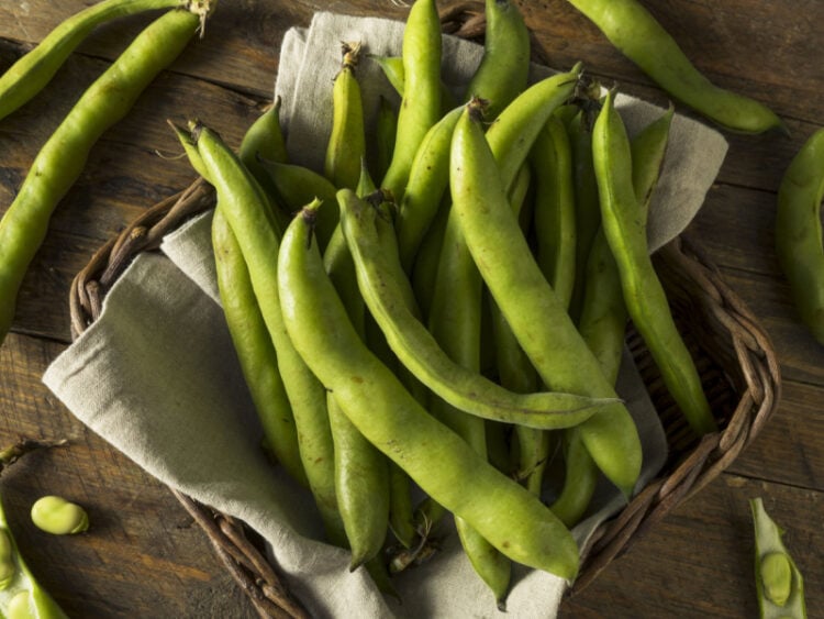 What Are Fava Beans? (All You Need To Know) - Insanely Good