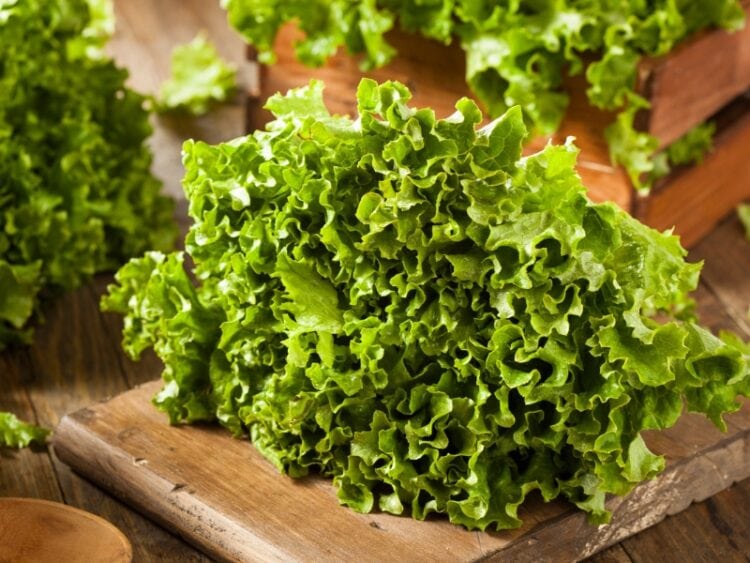 The 4 Best Lettuces for Wraps (Low-Carb) - Insanely Good