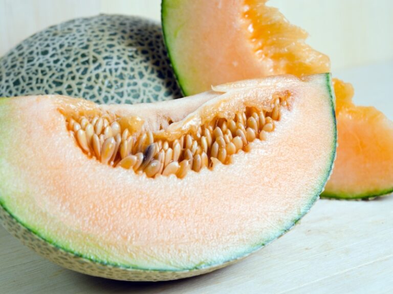 25 Types of Melon to Try (Common and Rare) - Insanely Good