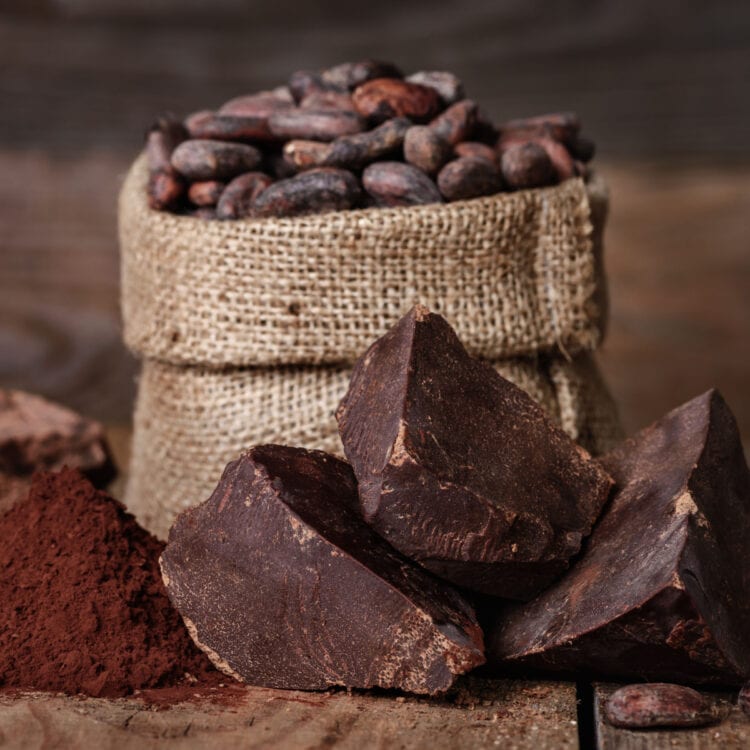 13 Cocoa Powder Substitutes Full of Chocolate Flavor - Insanely Good