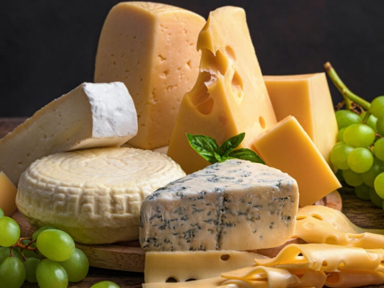 Best Cheese for Nachos (Top 5 Types) - Insanely Good