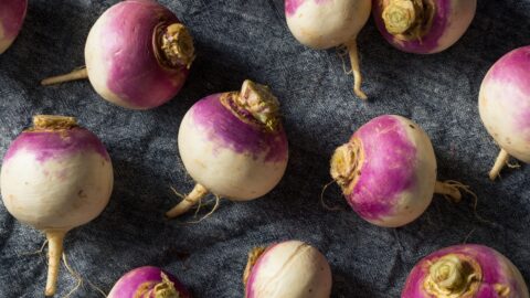 Turnip vs. Radish (5 Key Differences) - Insanely Good