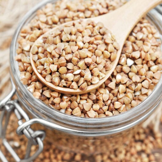 What is Buckwheat? (+ Cooking Instructions) - Insanely Good