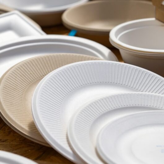 Can You Microwave Paper Plates? (+ How to Do It Safely) - Insanely Good