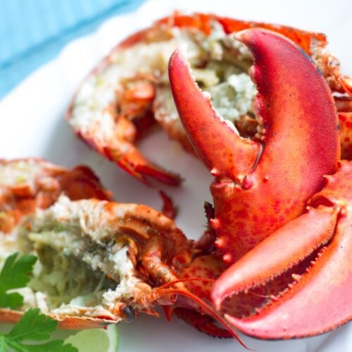 How to Reheat Lobster (4 Easy Ways) - Insanely Good
