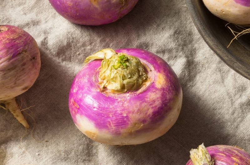 Turnip vs. Radish (5 Key Differences) - Insanely Good