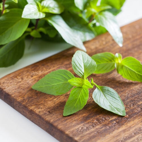 13 Best Cilantro Substitutes (Dried and Fresh Alternatives) - Insanely Good
