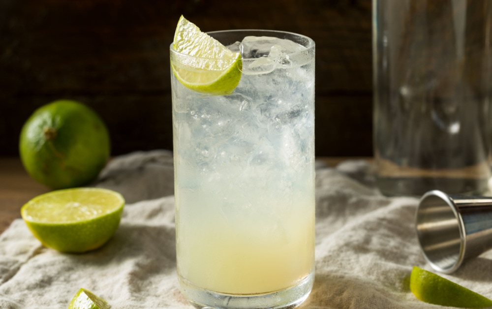 Gin Rickey (Classic Cocktail Recipe) - Insanely Good