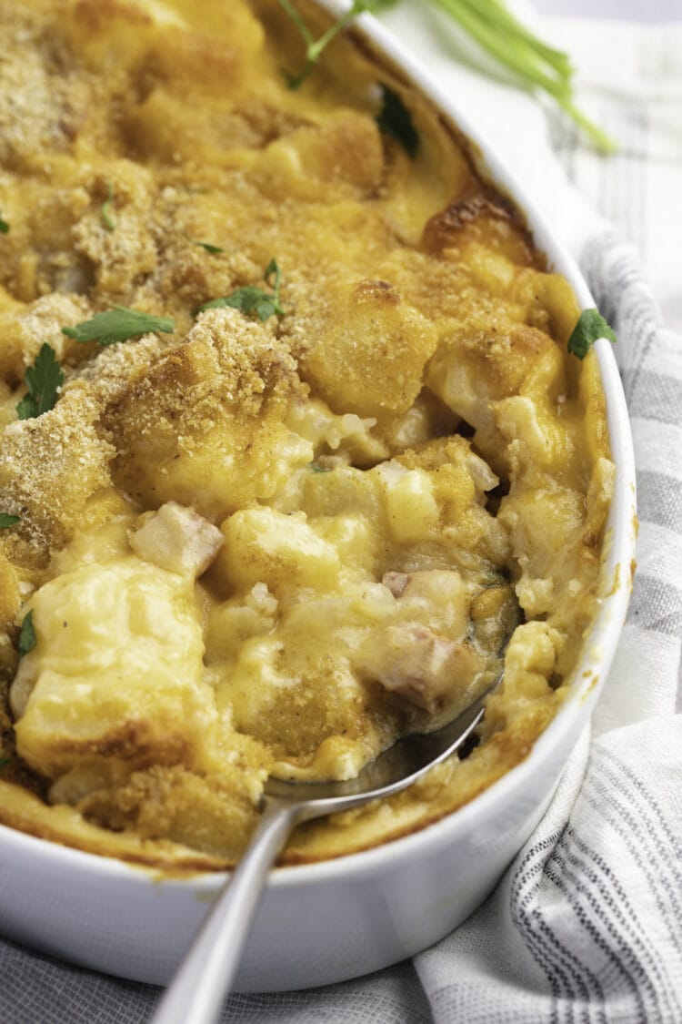 31 Dinner Ideas for Tonight (+ Easy Recipes) - Insanely Good