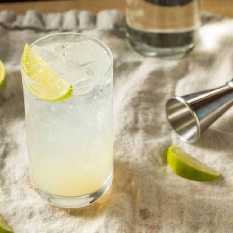 Gin Rickey (Classic Cocktail Recipe) - Insanely Good