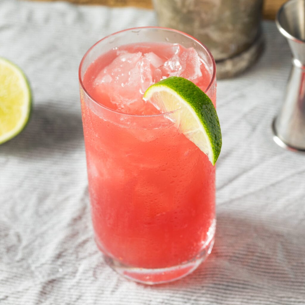 Easy Bay Breeze Cocktail Recipe - Insanely Good