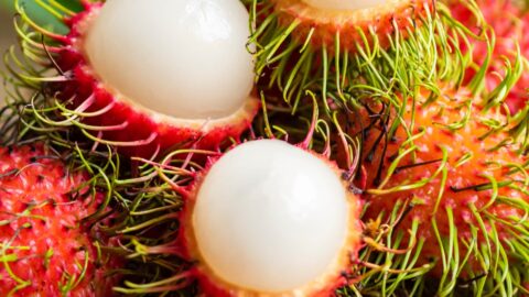 Rambutan vs. Lychee (What's the Difference?) - Insanely Good