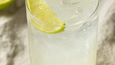 Gin Rickey (Classic Cocktail Recipe) - Insanely Good