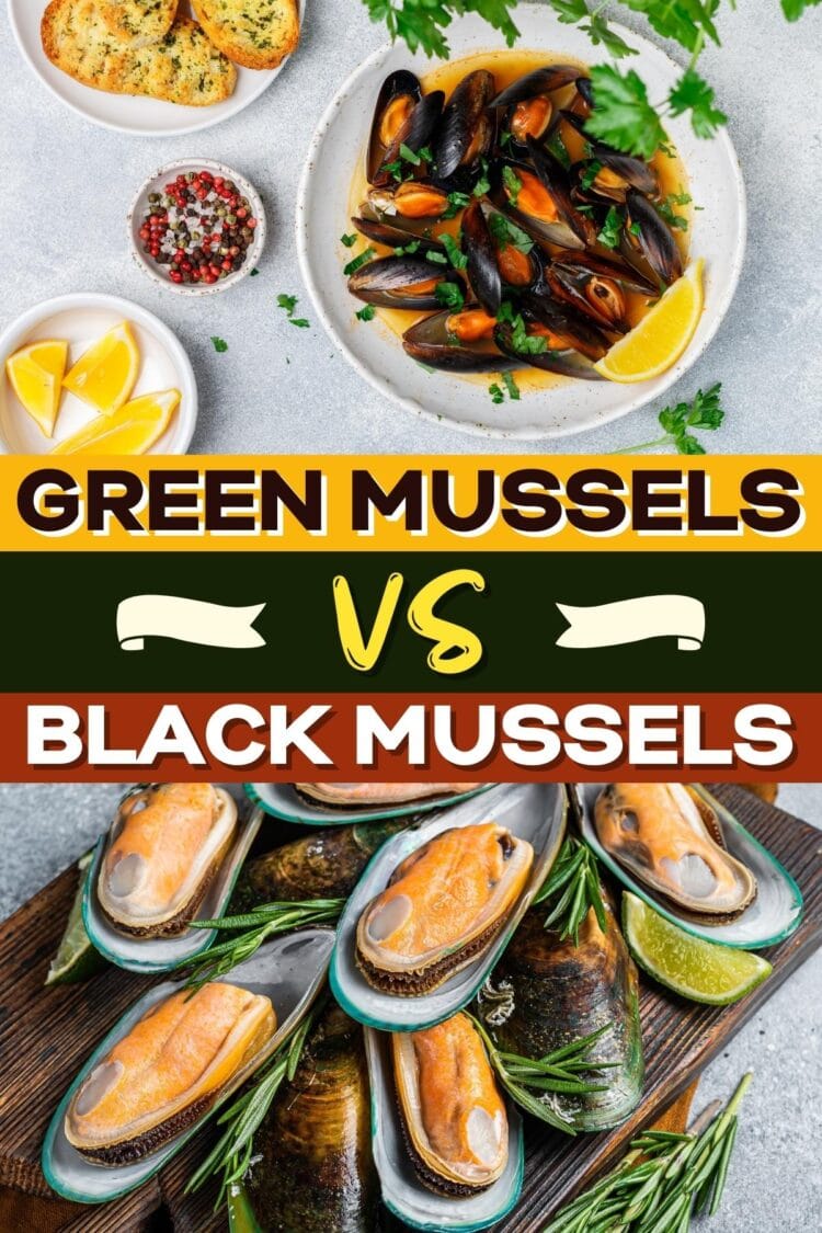 Green Mussels vs. Black Mussels (What's the Difference?) - Insanely Good