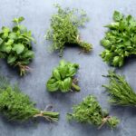 17 Types of Herbs (+ How to Use Them!) - Insanely Good