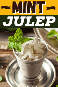 Mint Julep (Classic Cocktail Recipe) - Insanely Good
