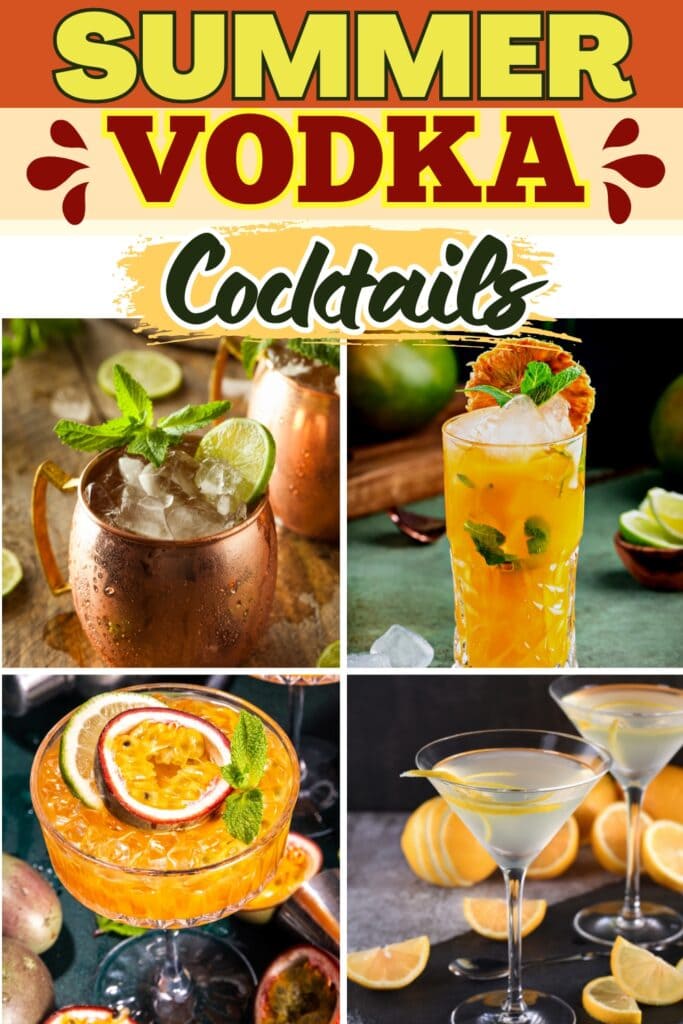 23 Best Summer Vodka Cocktails (Light and Refreshing) - Insanely Good