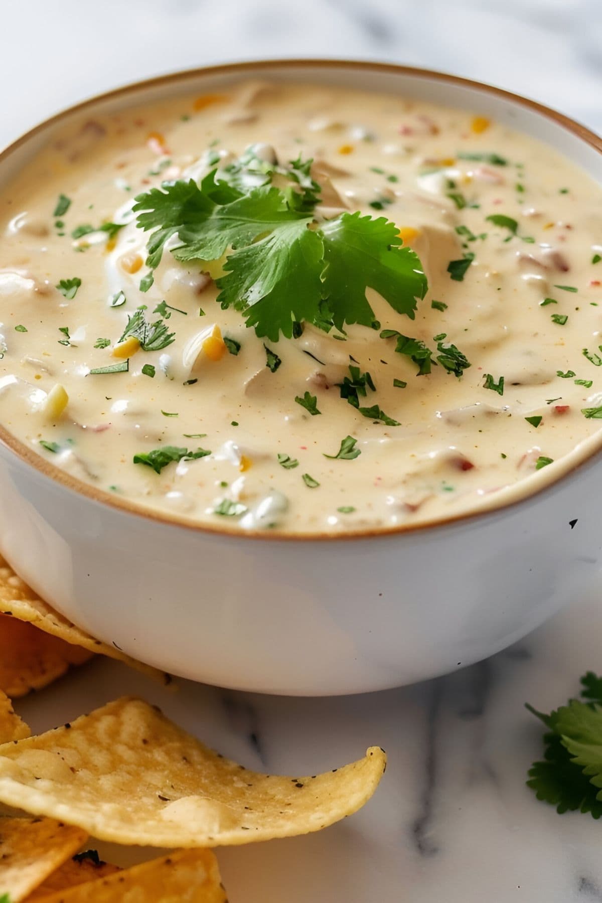 Mexican White Queso Cheese Dip - Insanely Good