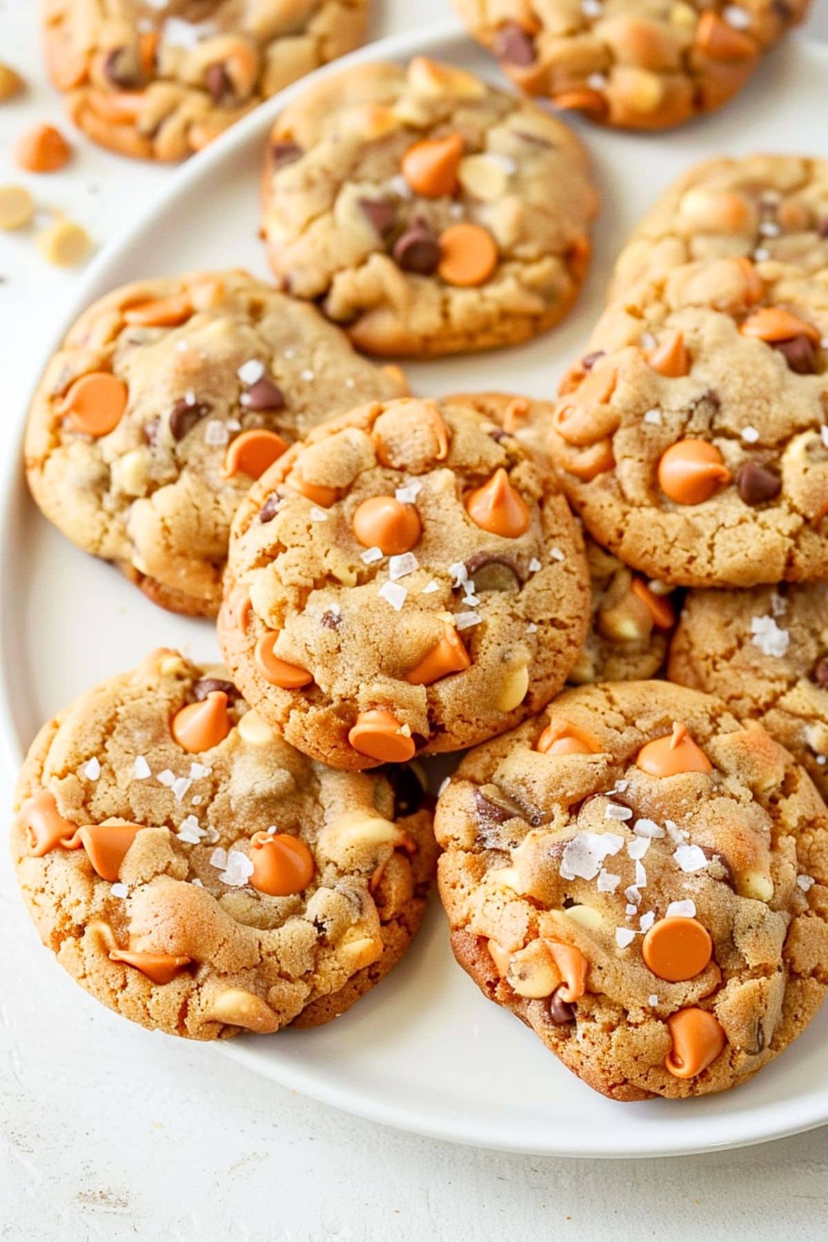 Butterscotch Chocolate Chip Cookies - Insanely Good