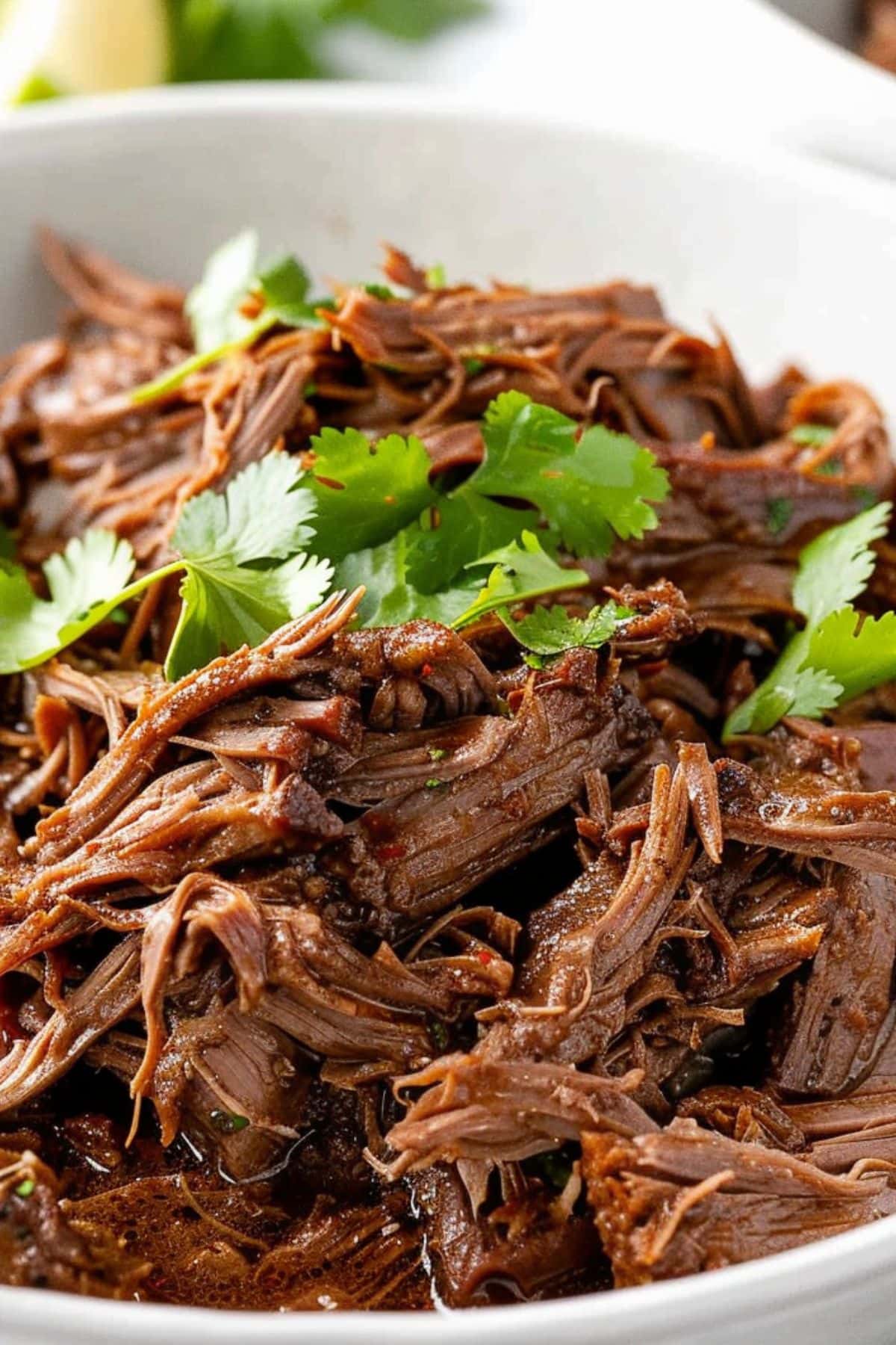 Chipotle Barbacoa - Insanely Good