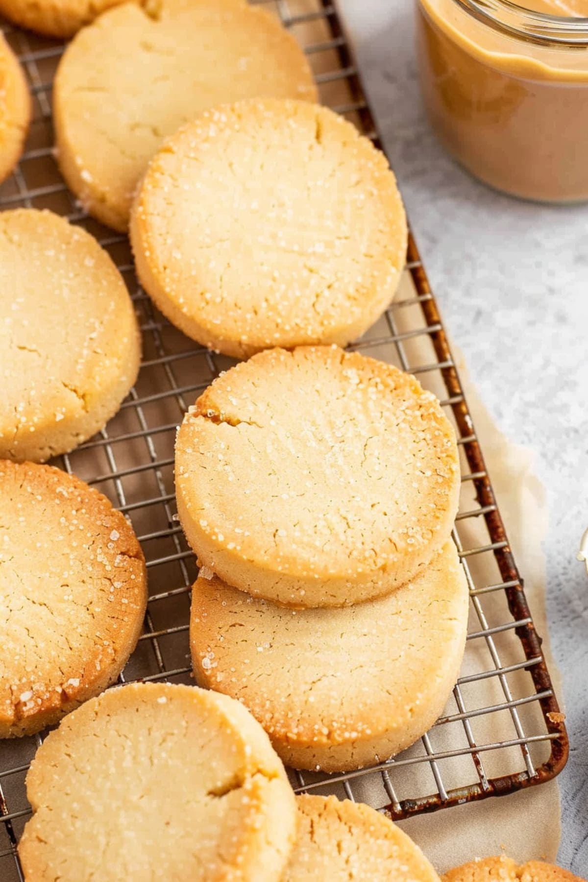 Homemade Tagalong Cookies - Insanely Good